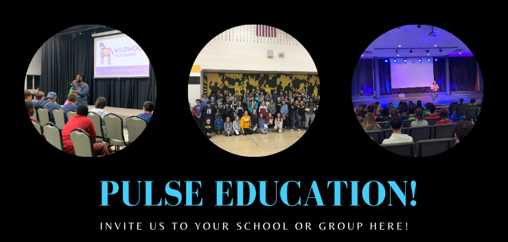 Home - Pulse 101.7 FM